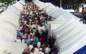 Loon Day Schedule Mercer, WI