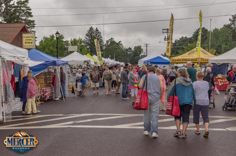 Loon Day Art & Craft Show Mercer, WI Photo Gallery